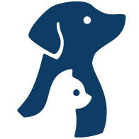 CASK Academy | Business Solution Coaching